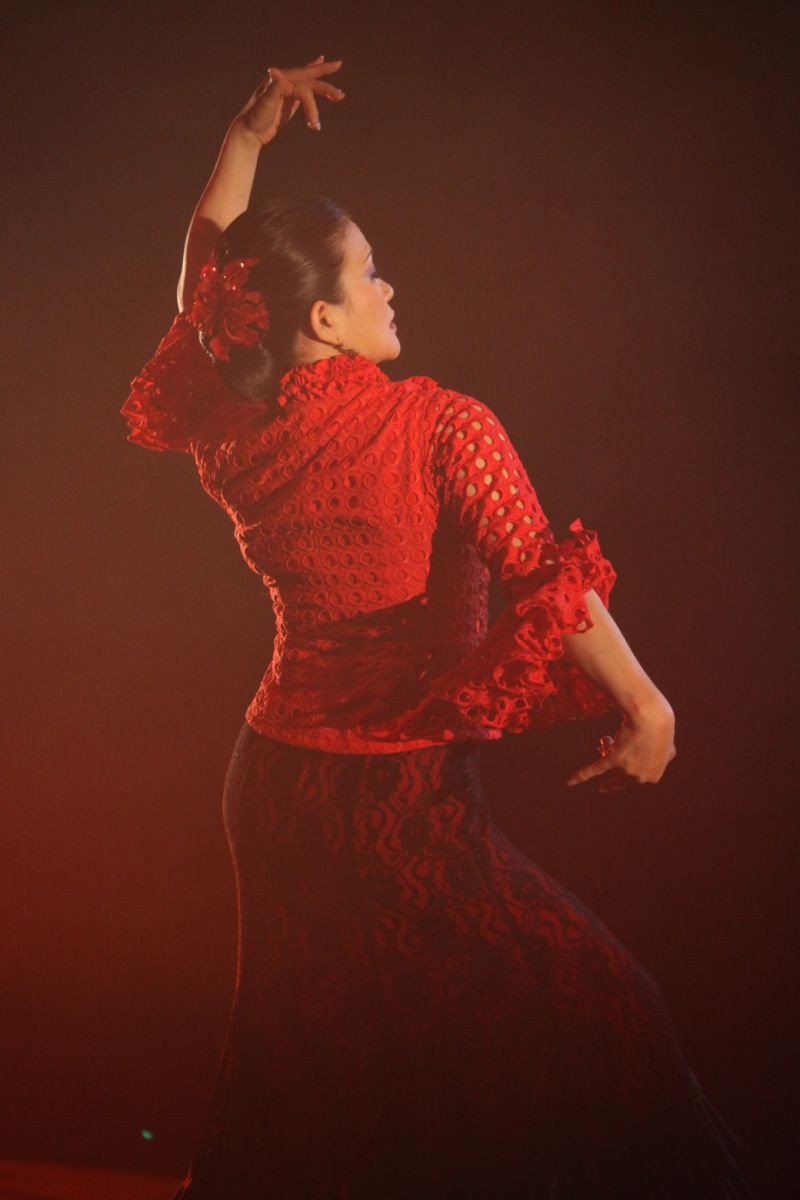 フラメンコ3 | GANREF
