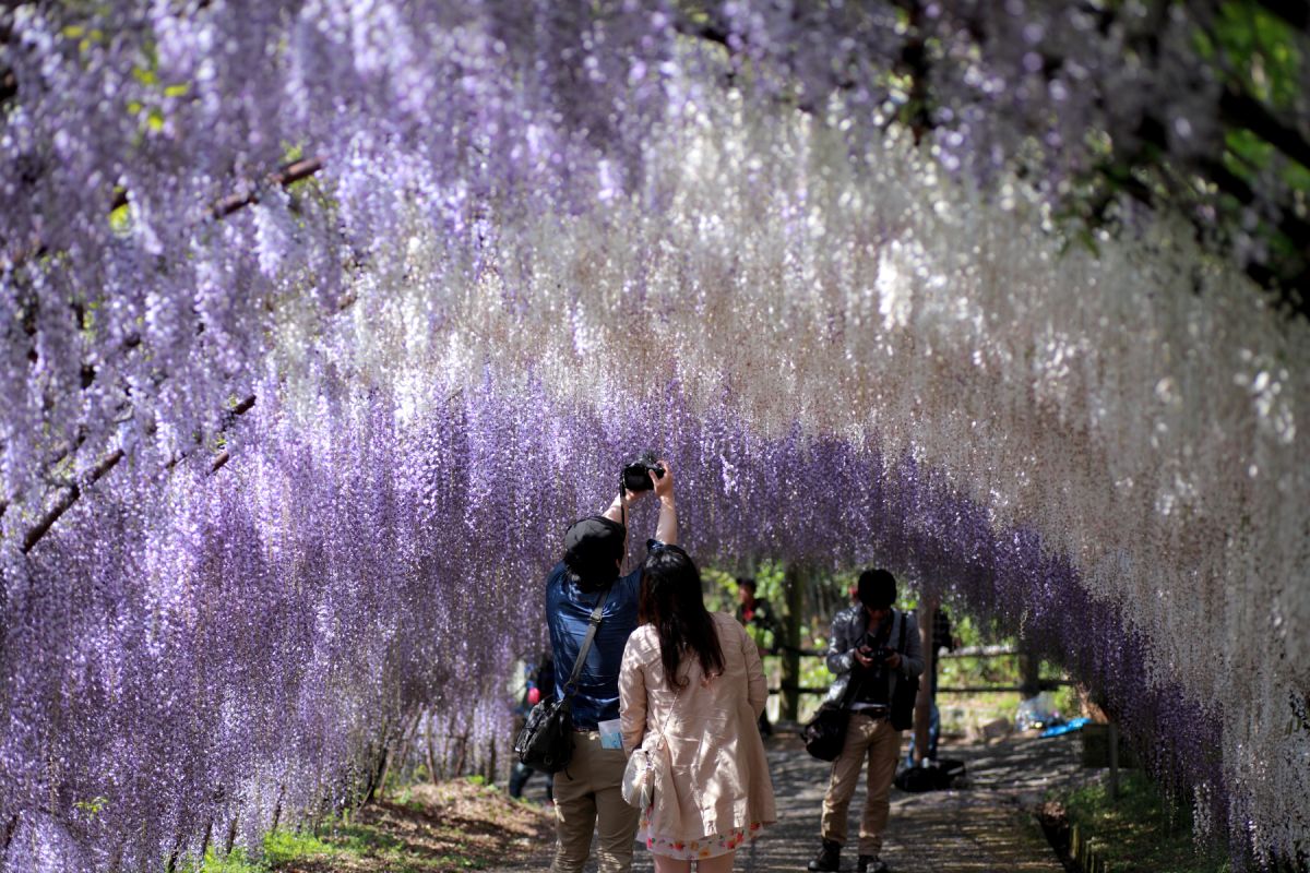 かがやく時間 | GANREF