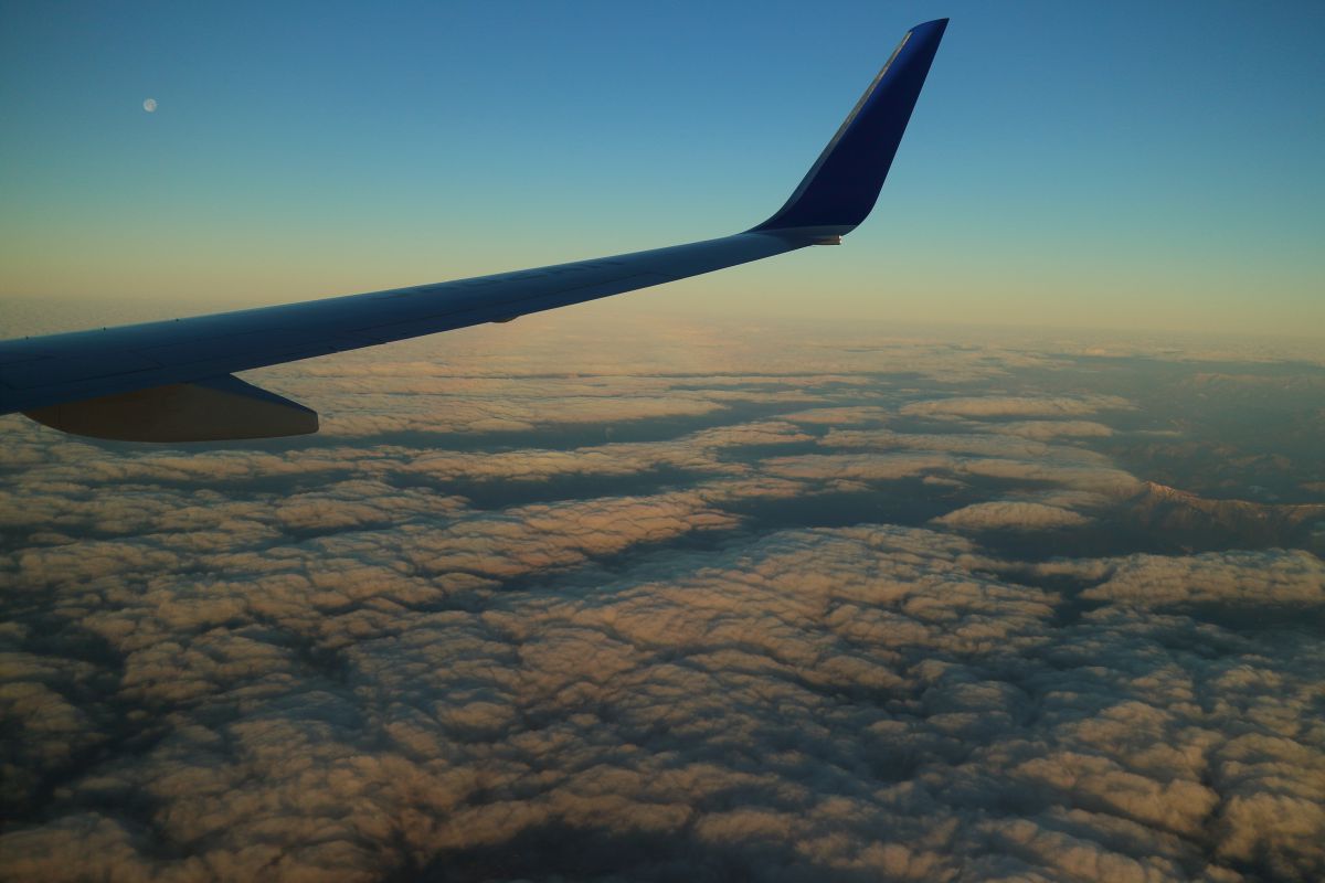 Another Sky-3 | GANREF