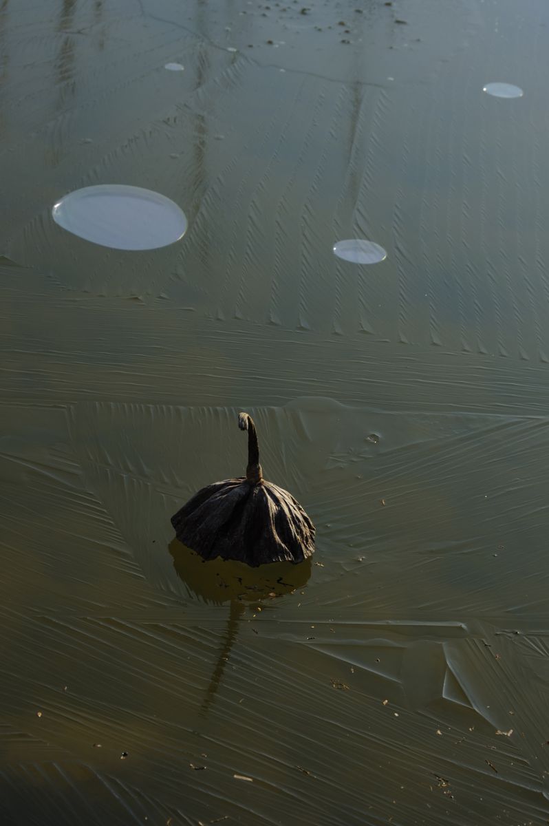 時間よ止まれ Part1 | GANREF