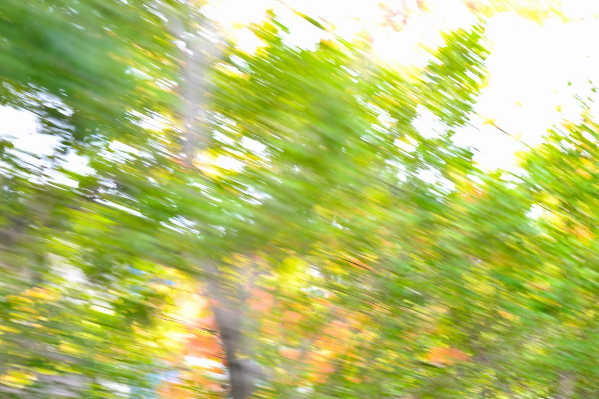 秋の気配 | GANREF