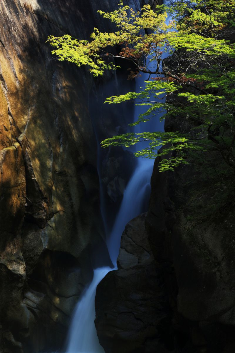 雪溶けて | GANREF