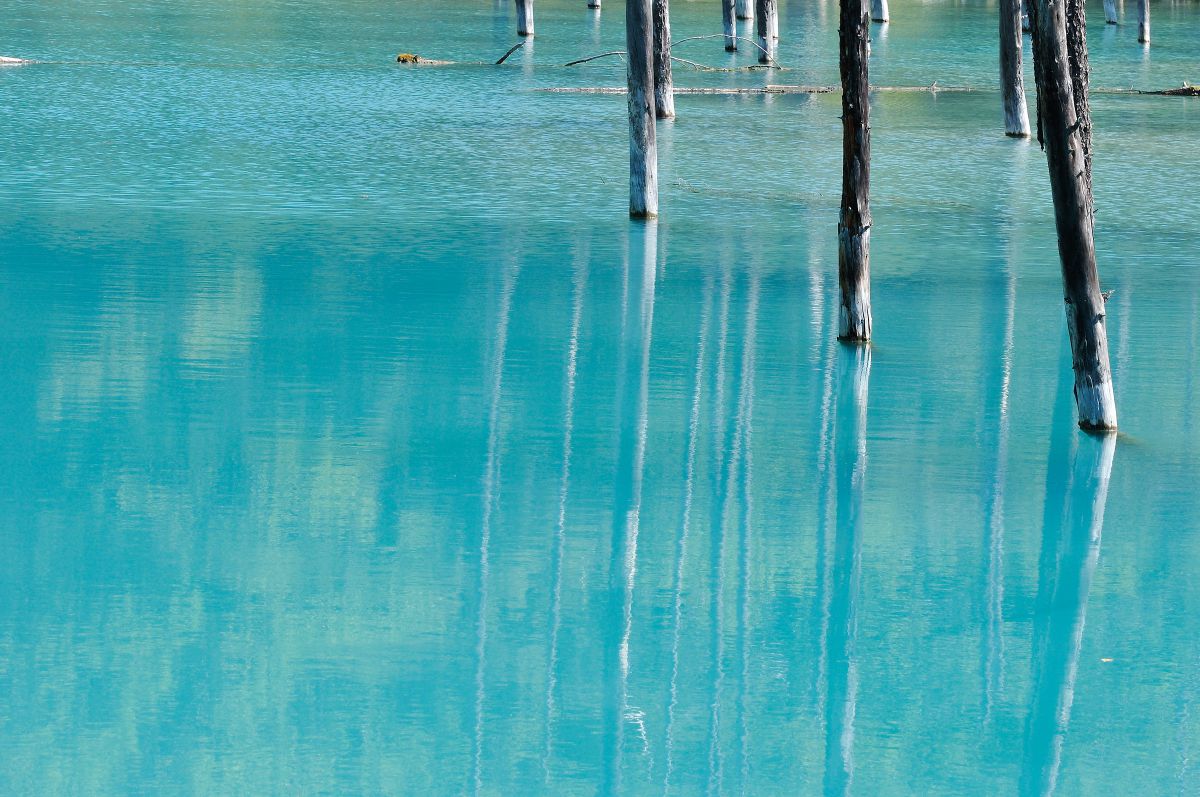 BATHCLIN BLUE | GANREF