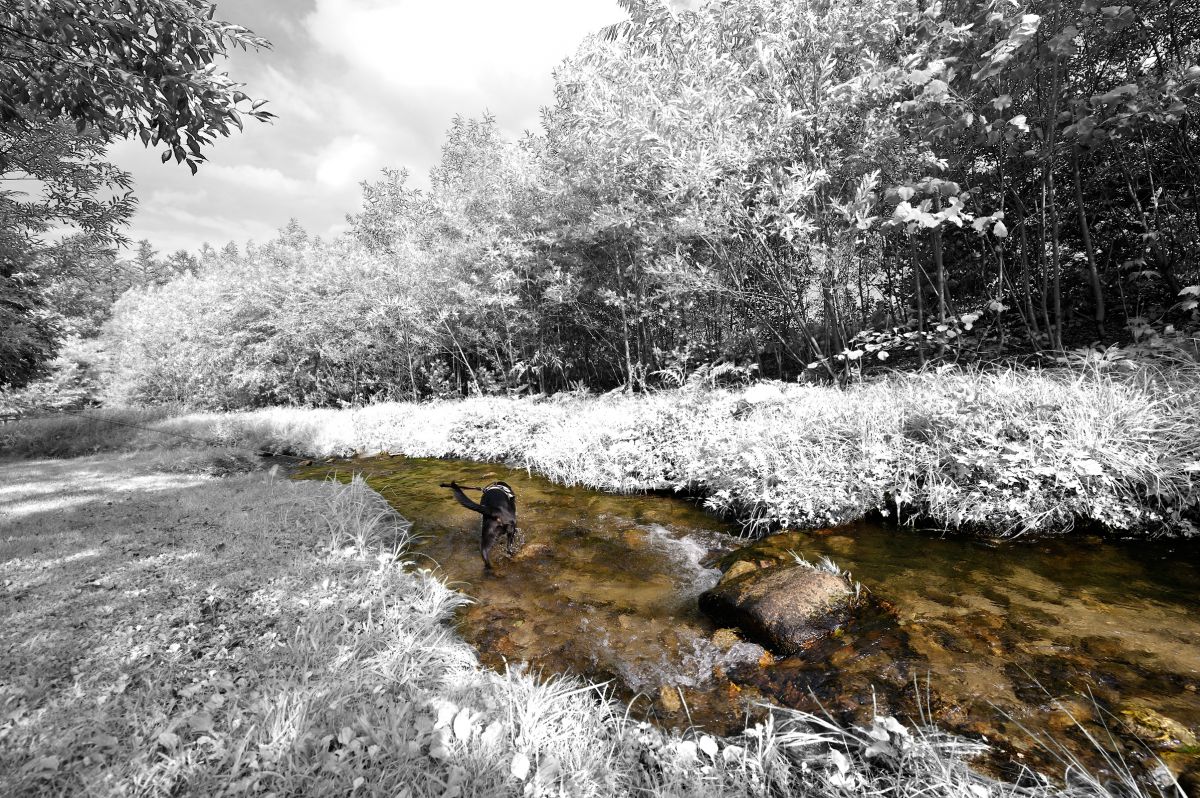 The fantasy world | GANREF