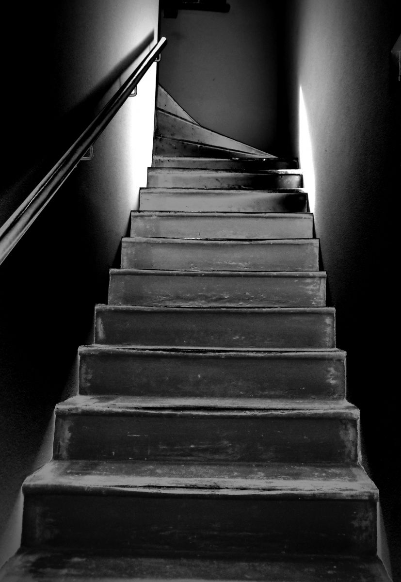 Up or down？ | GANREF