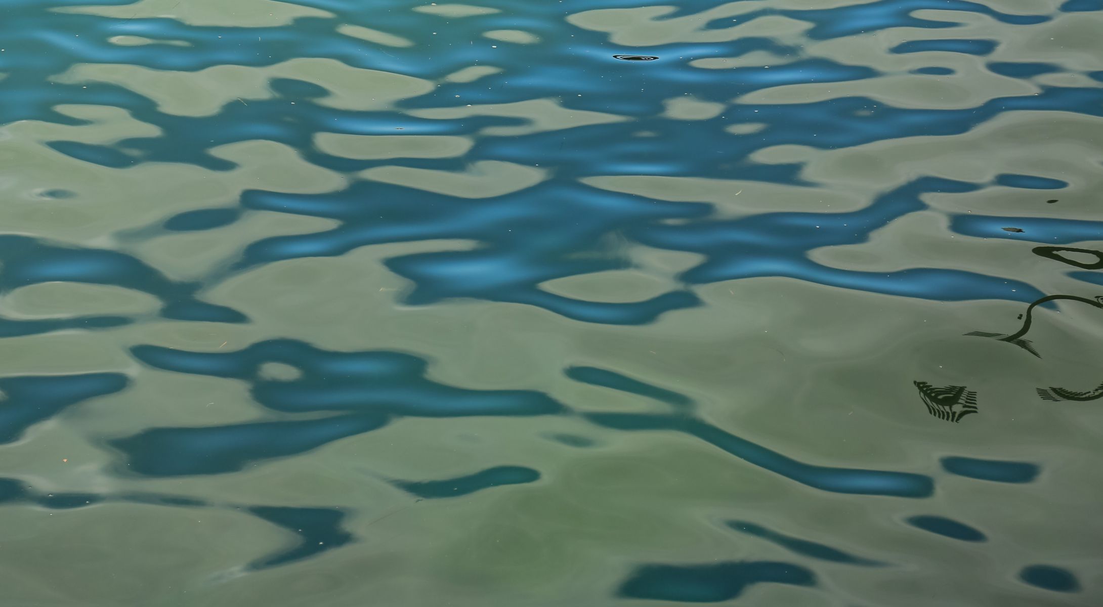 不思議な水紋模様－1 | GANREF