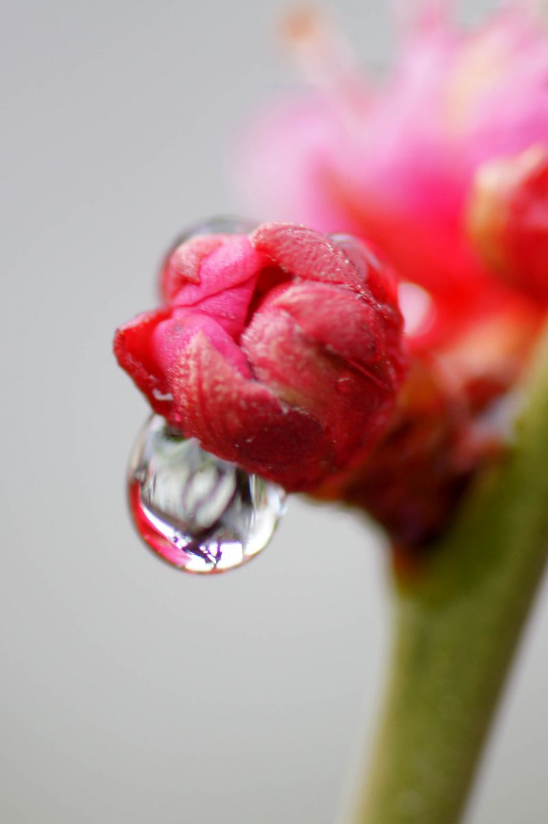 雨上がり.jpg | GANREF