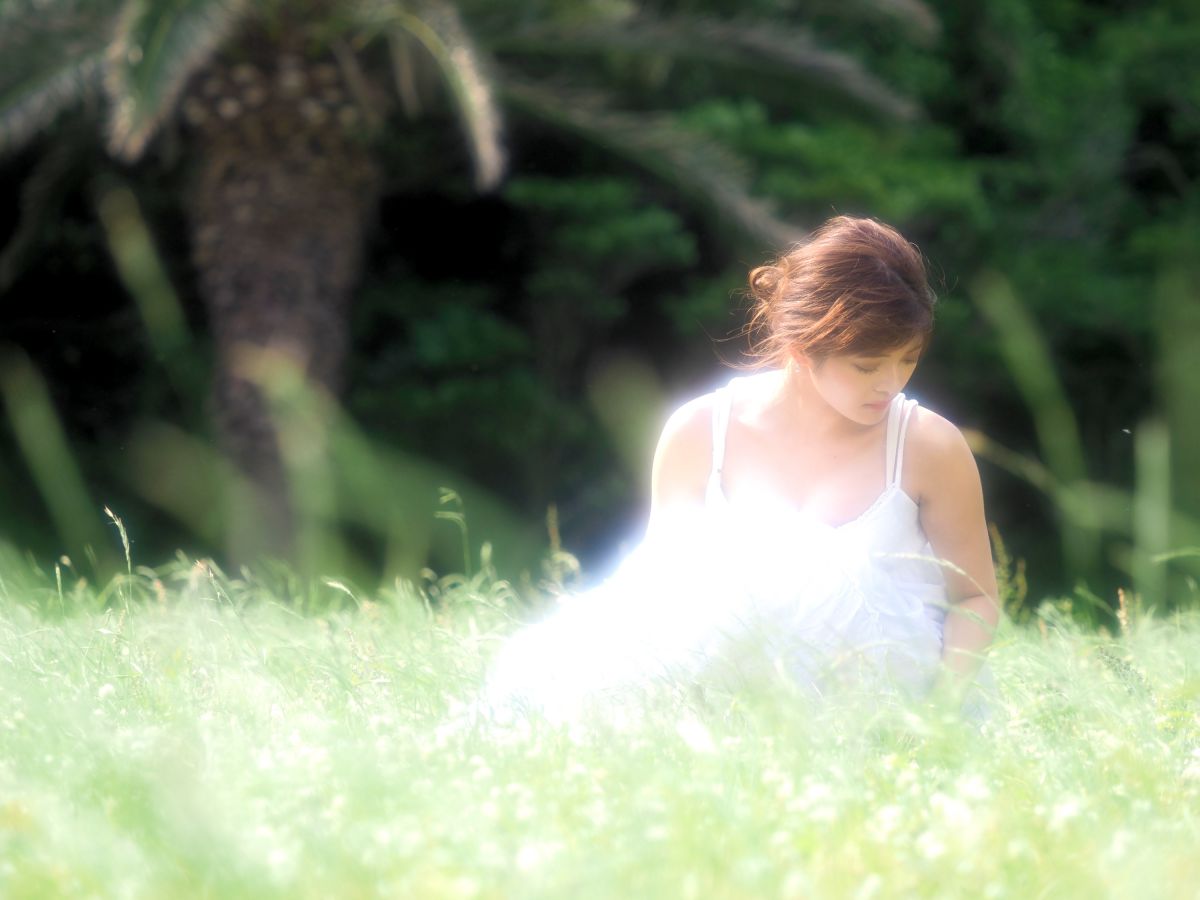 草原の女 | GANREF