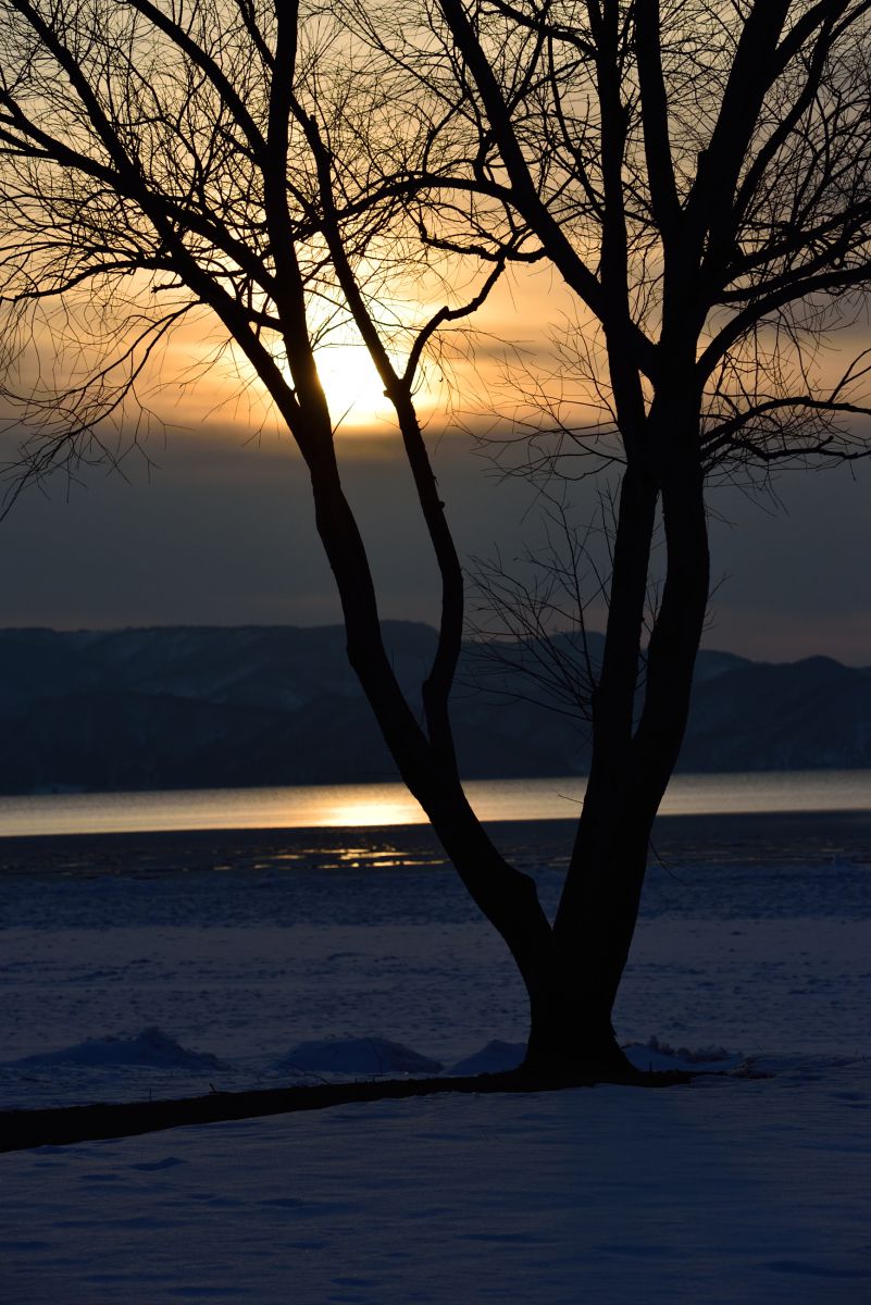 美男子を照らす夕陽 | GANREF