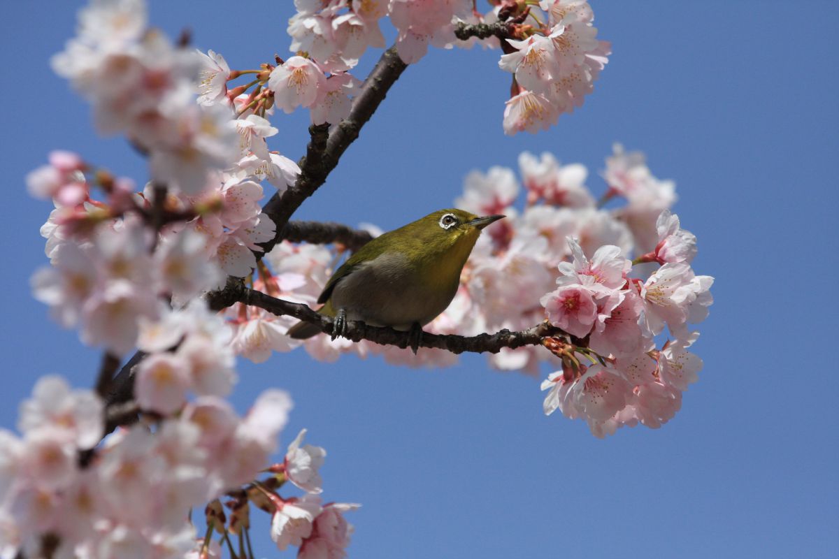 たとえば、君がいるだけで。。。 | GANREF