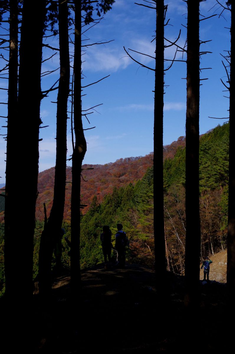 視界が開ける | GANREF