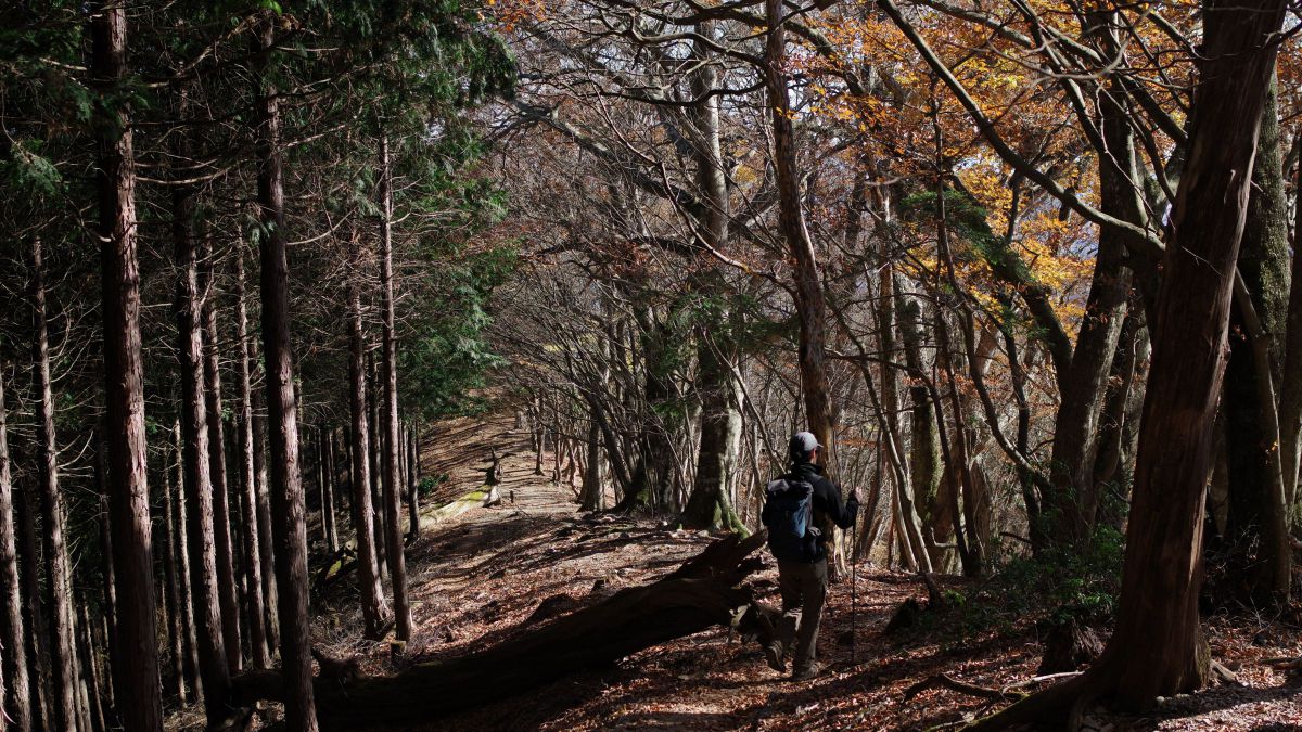 境界の登山道 | GANREF