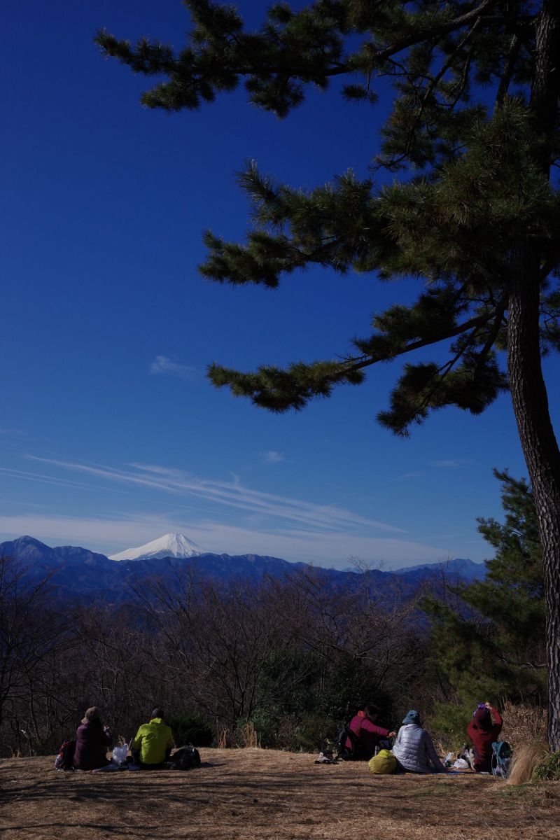 松の木の下で | GANREF