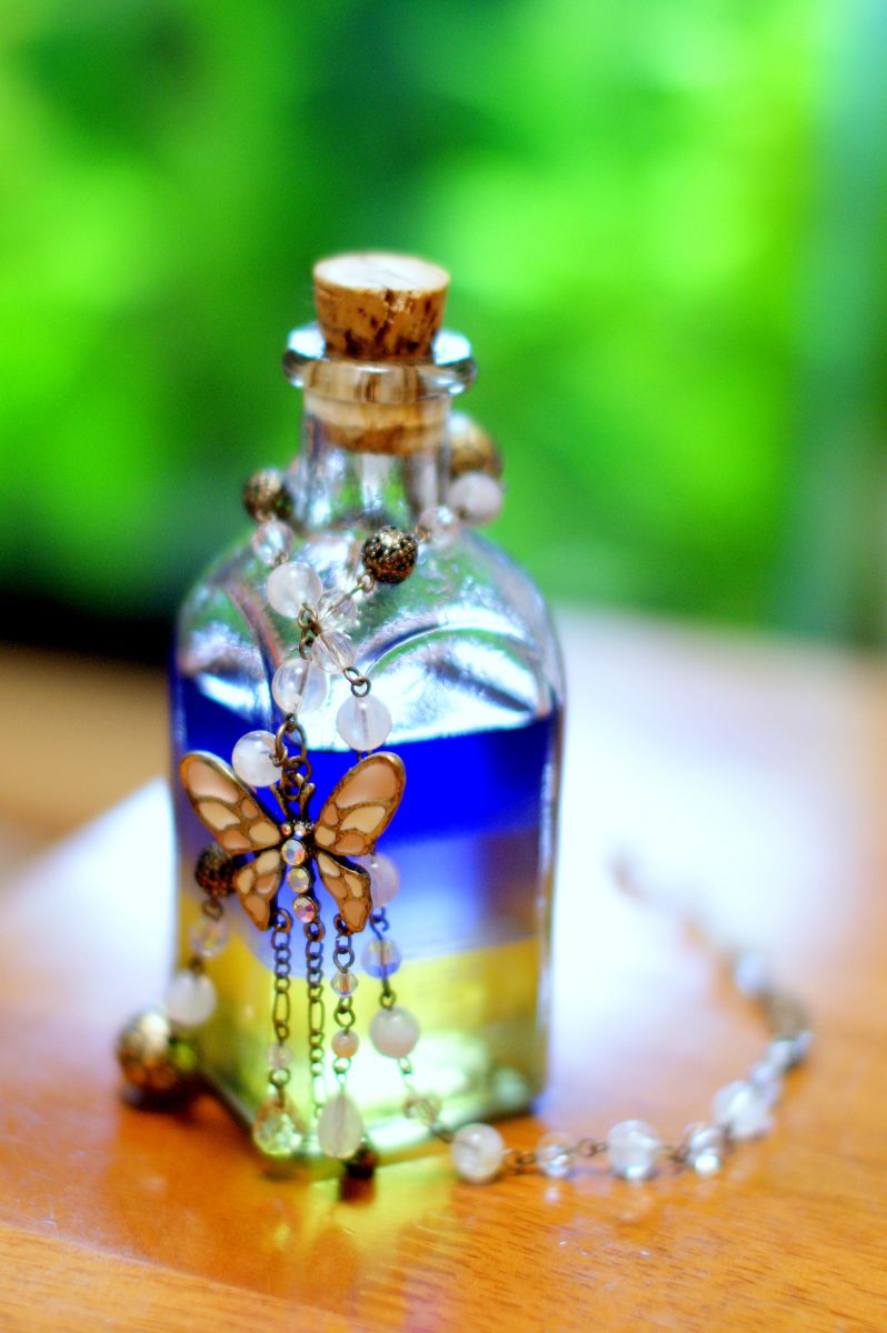 dream bottle | GANREF