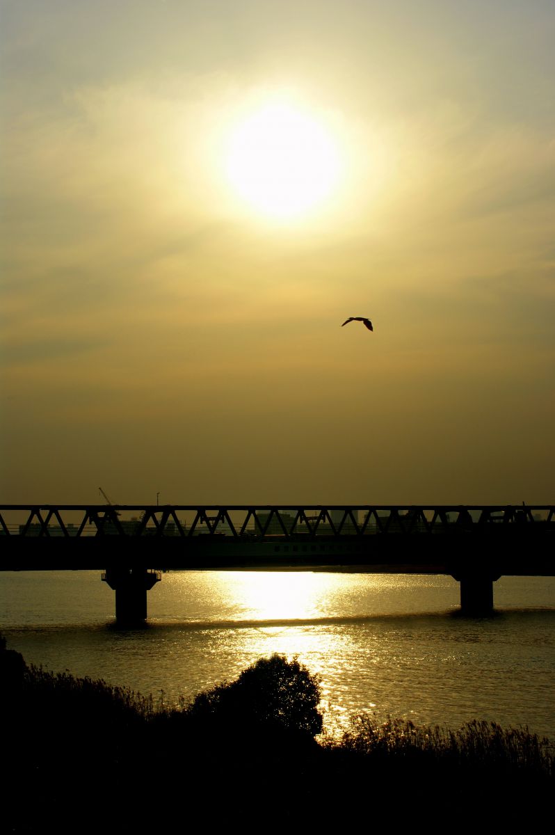 今日から明日へ | GANREF