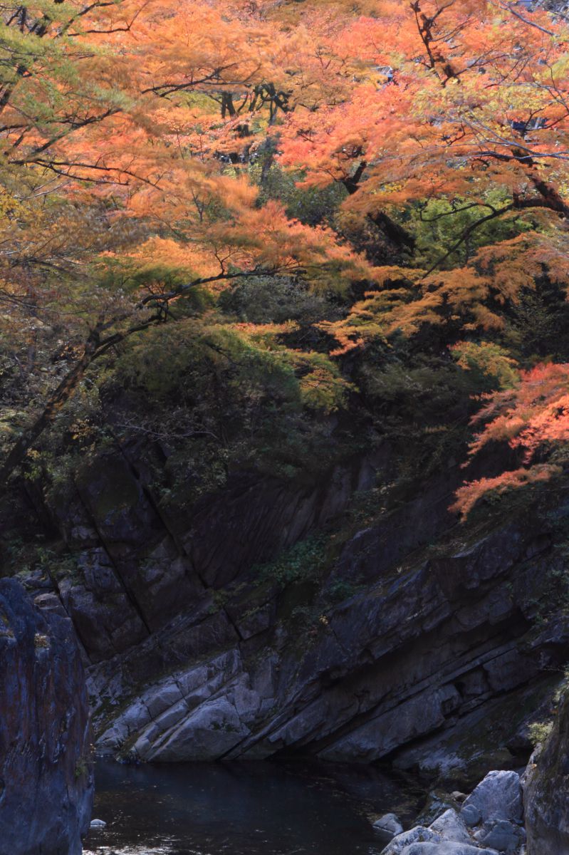 秋色峡谷 | GANREF