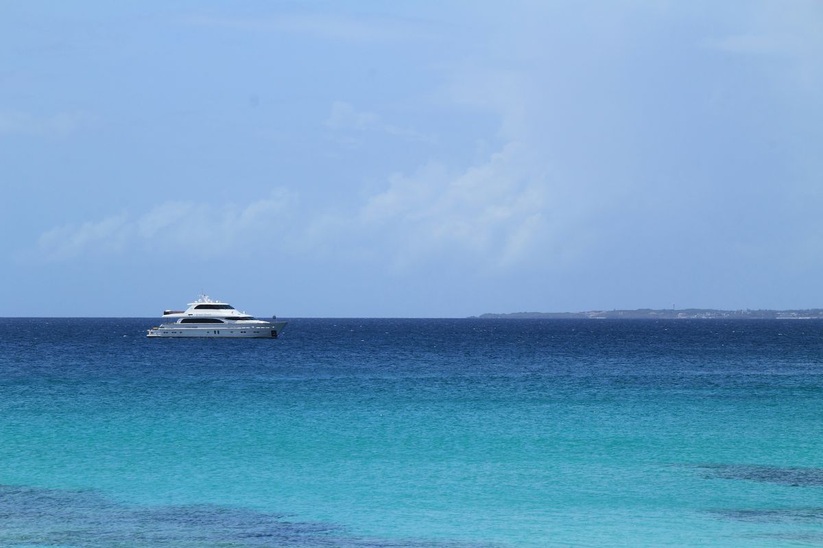 Emerald Ocean | GANREF