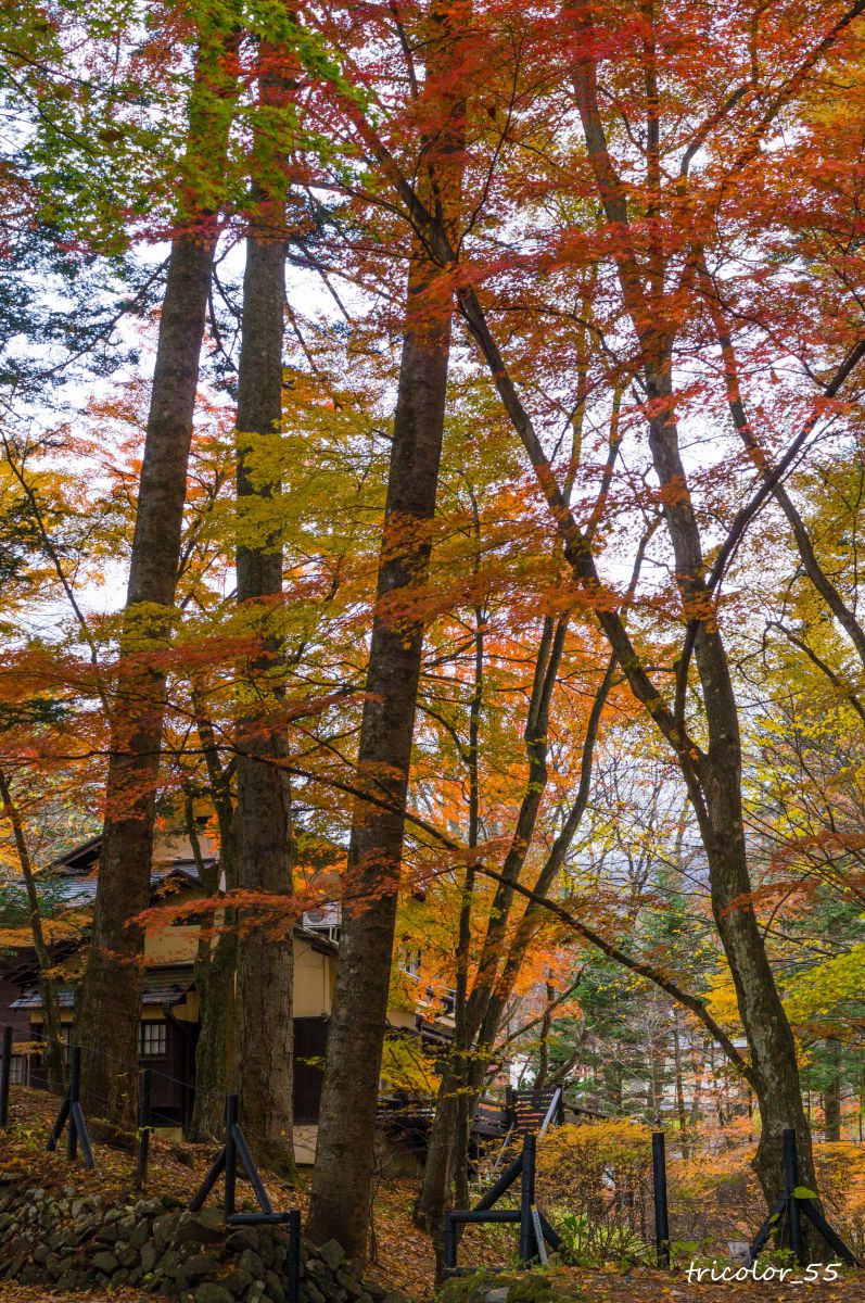 晩秋・軽井沢 | GANREF