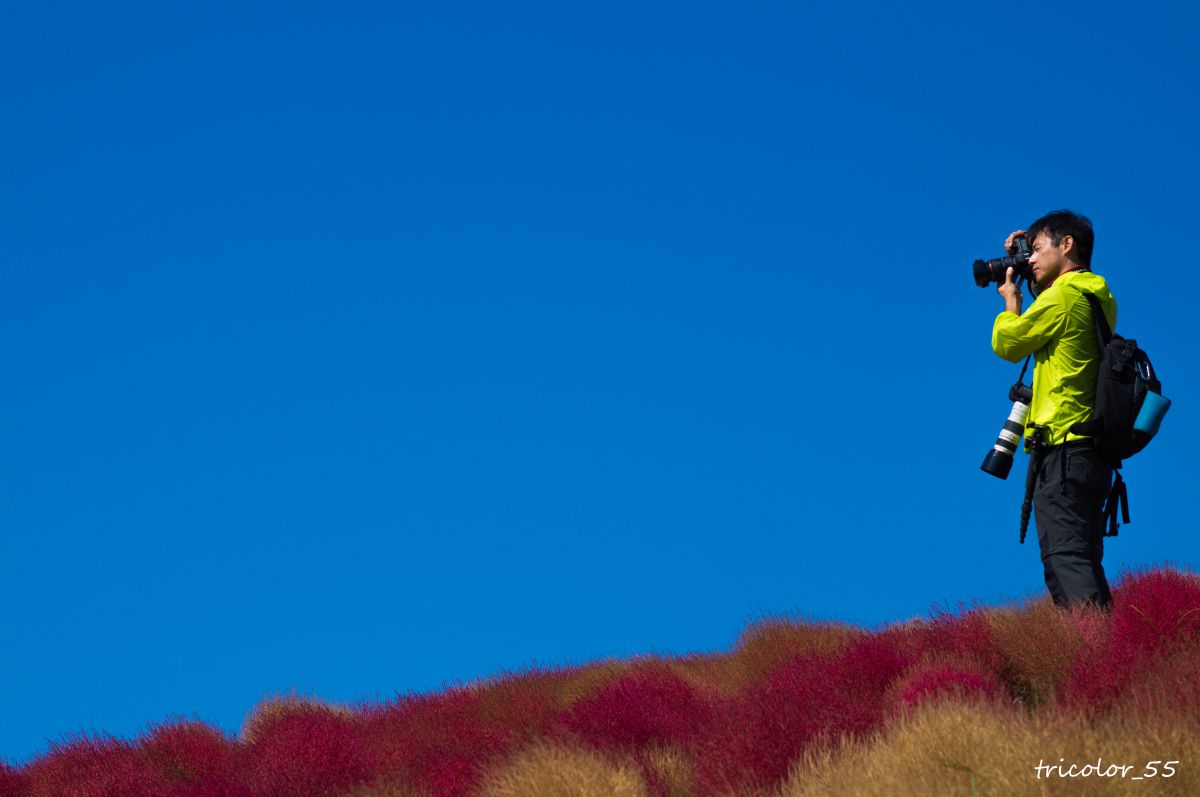 天空を切り取る | GANREF