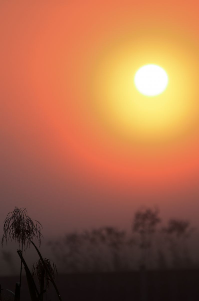 Autumn Dawn | GANREF