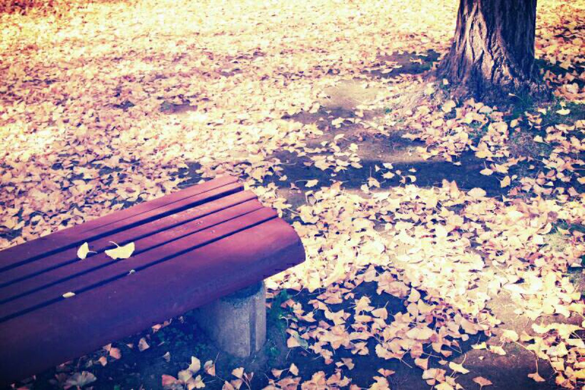 falling leaves | GANREF