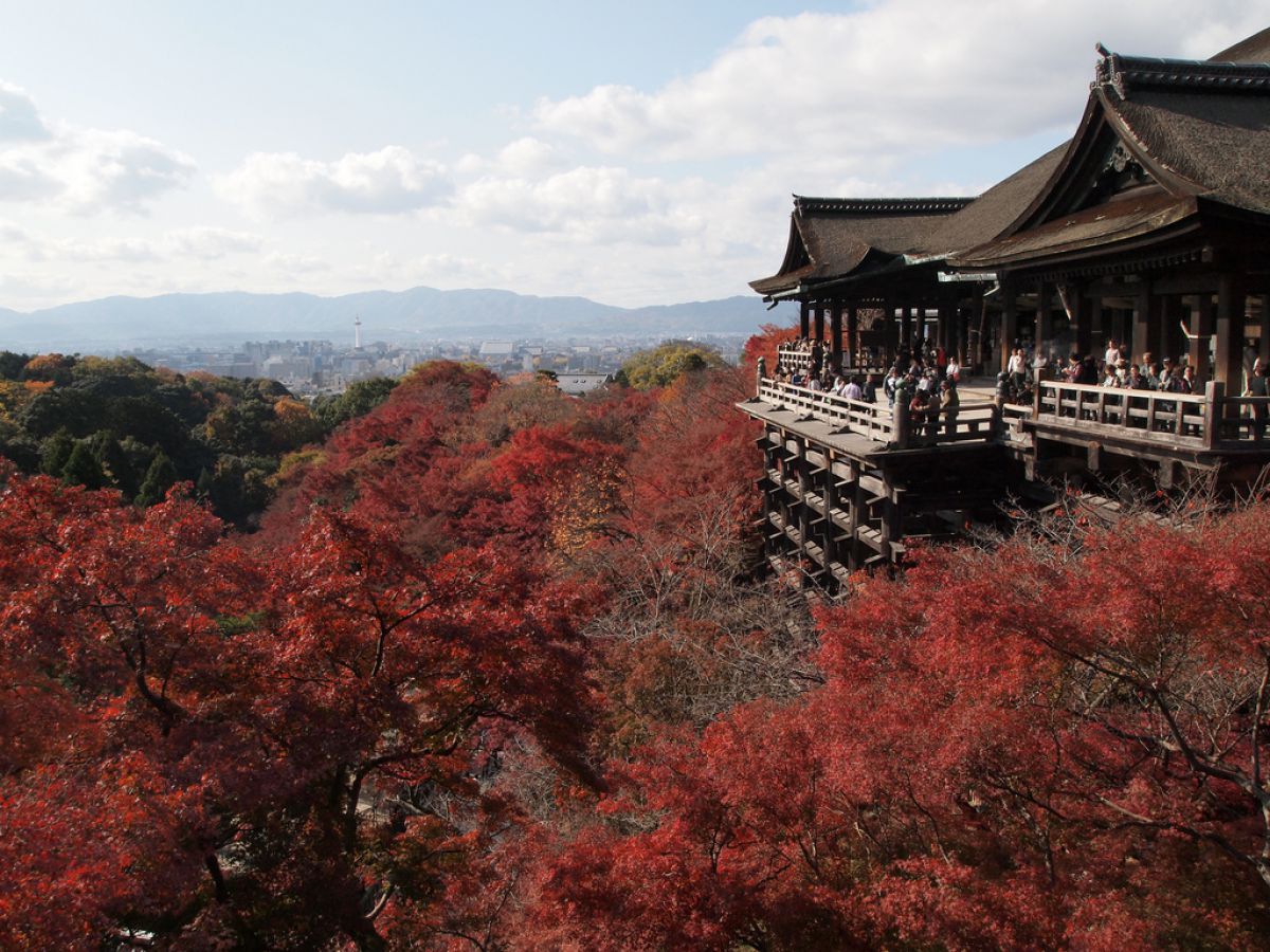 紅葉の清水寺 | GANREF