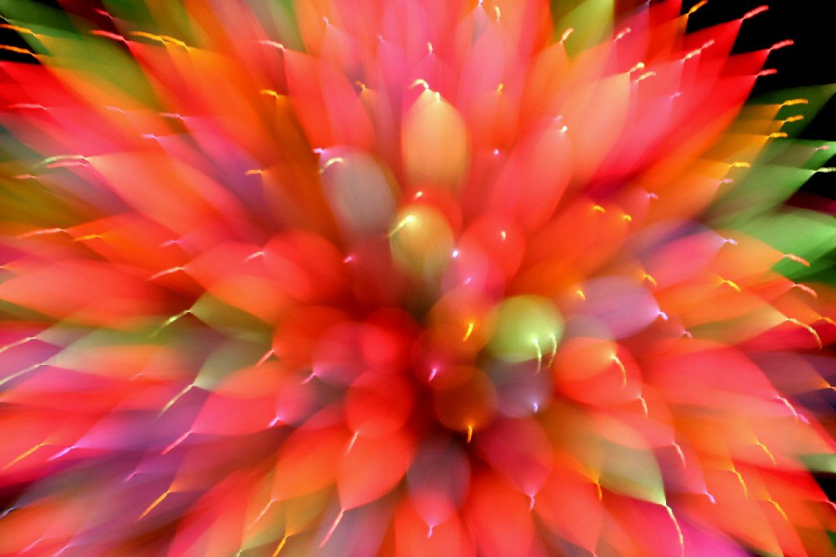 sparkling fire・1 | GANREF