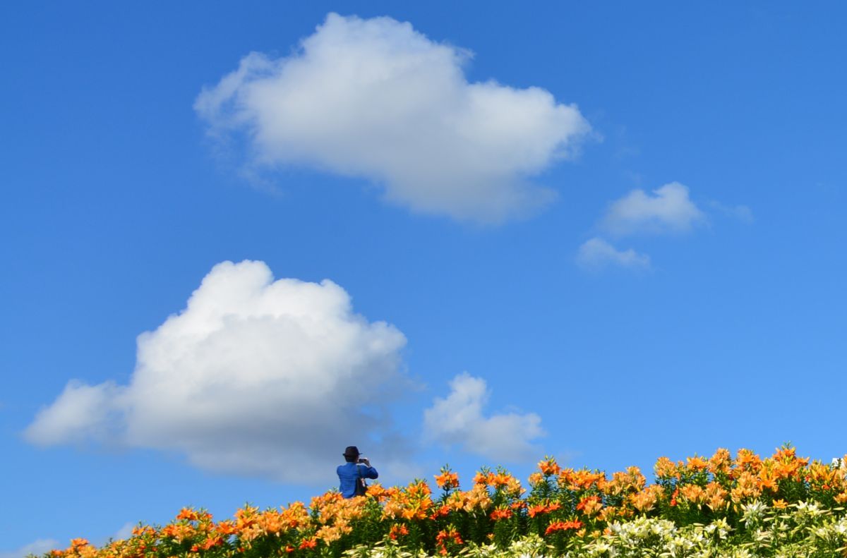 雲を撮る | GANREF