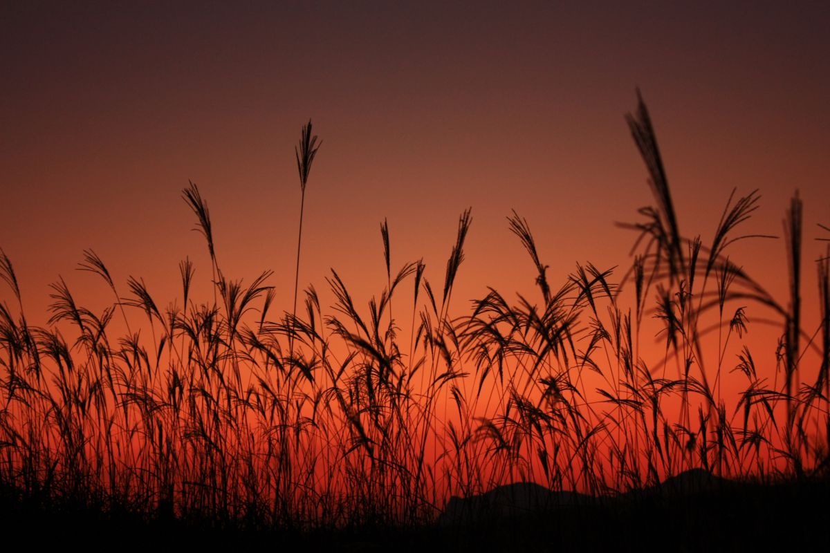 late in Autumn | GANREF