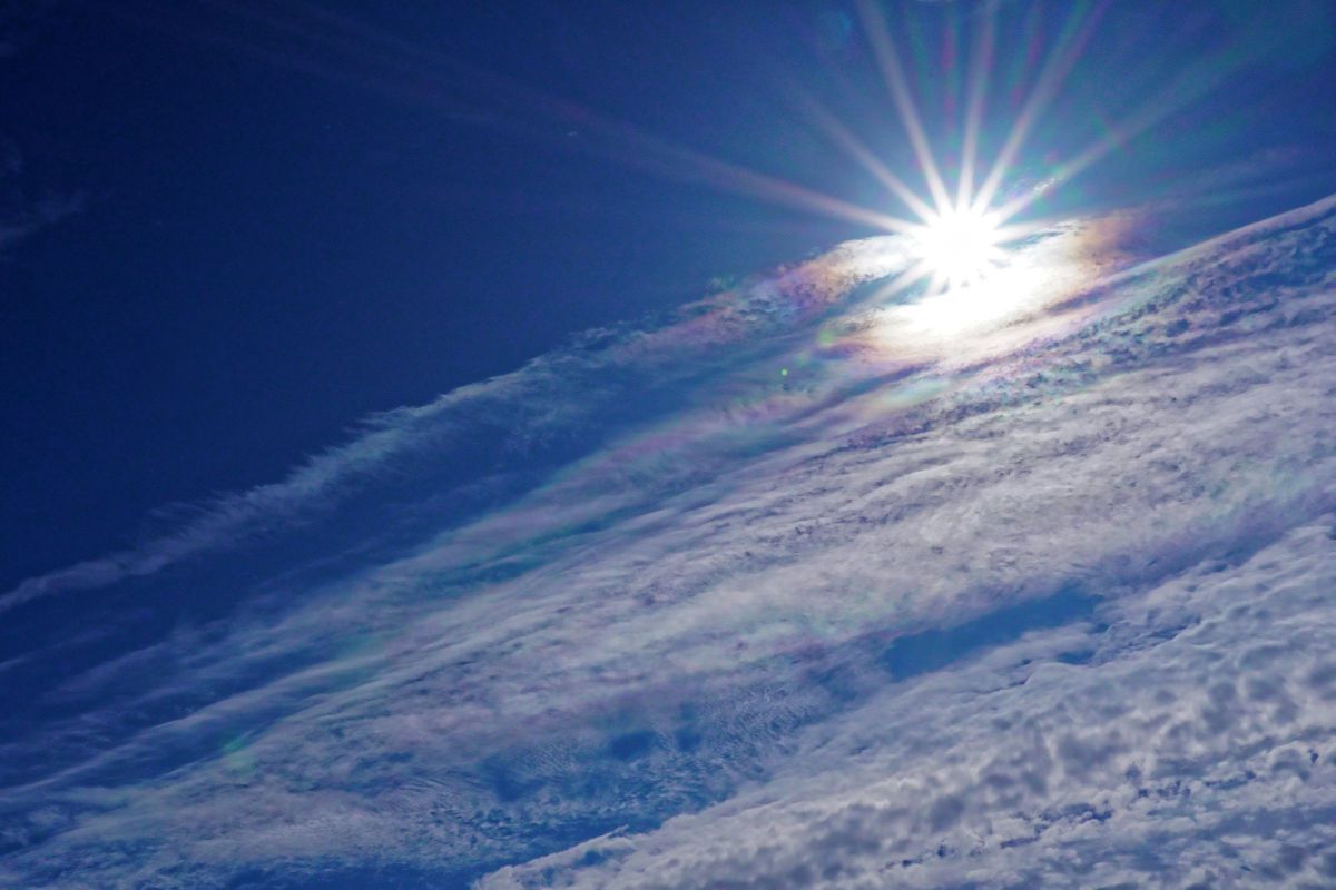 September sunshine.jpg | GANREF