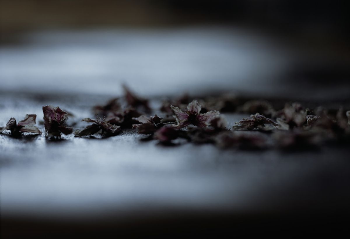 Life ♯019 | GANREF