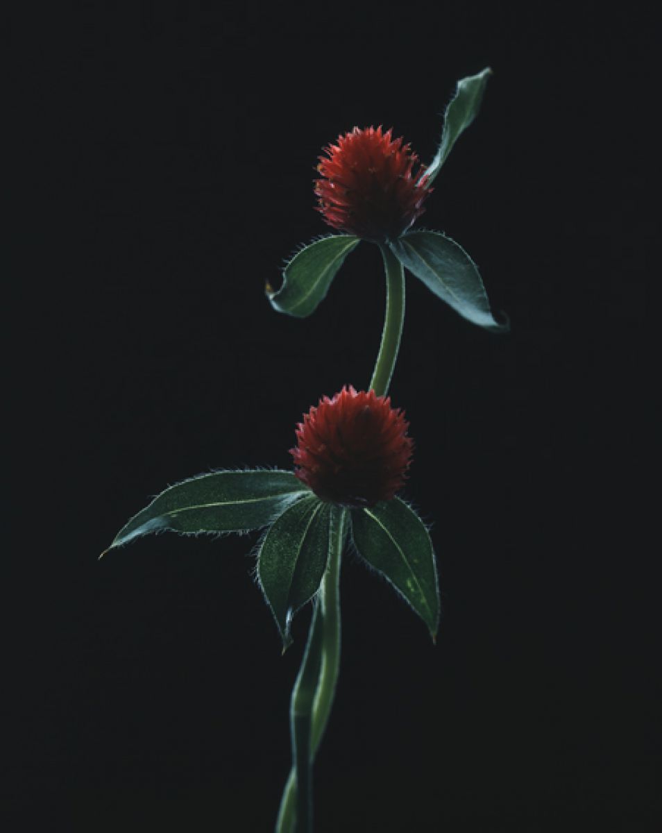 Breath.♯014 | GANREF