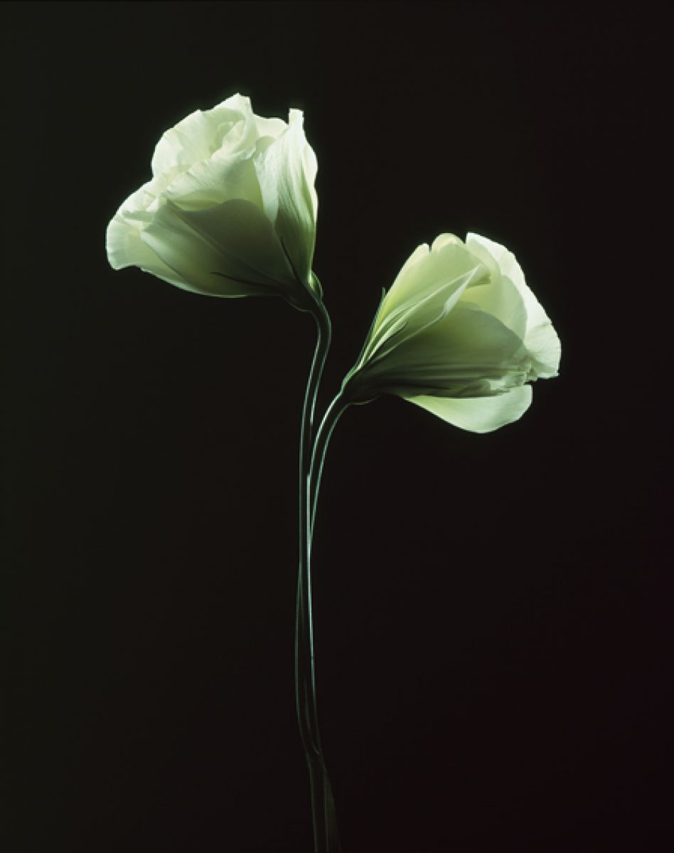 Breath.♯010 | GANREF