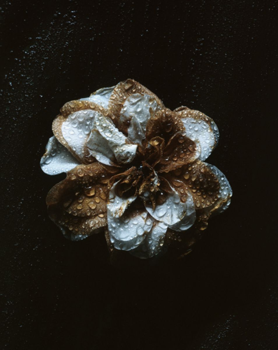 Life ♯021 | GANREF