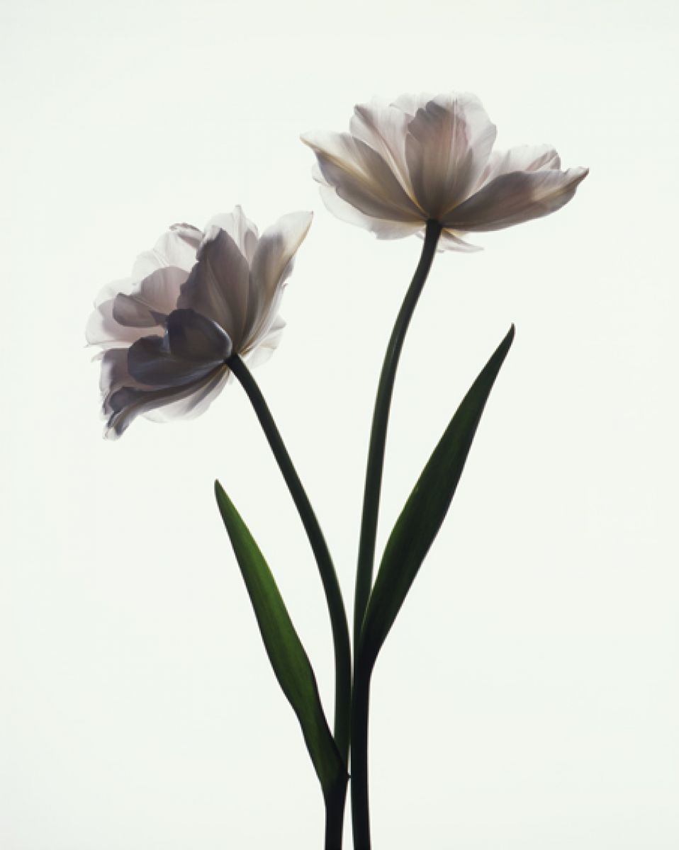 Breath.♯017 | GANREF