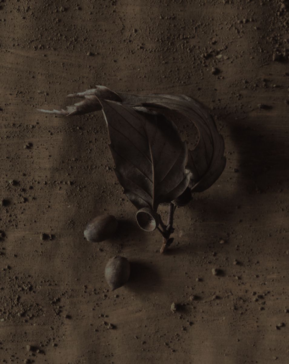 Life ♯016 | GANREF