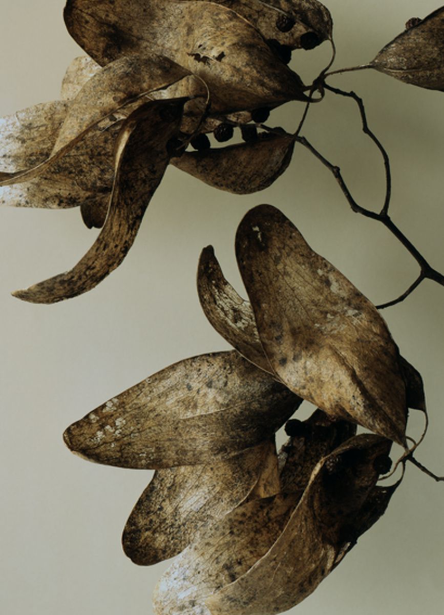 Life ♯038 | GANREF