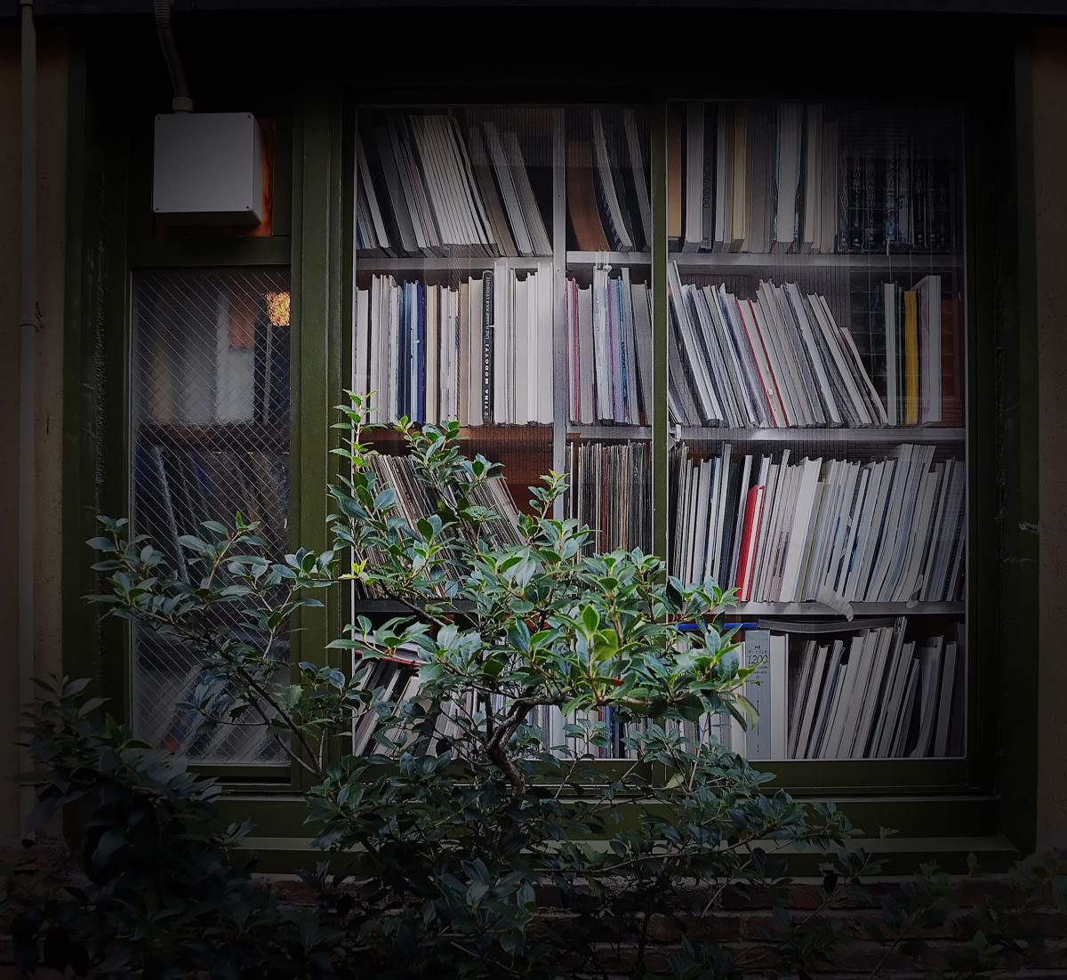 窓を覗いて見ると（本＆LP） | GANREF