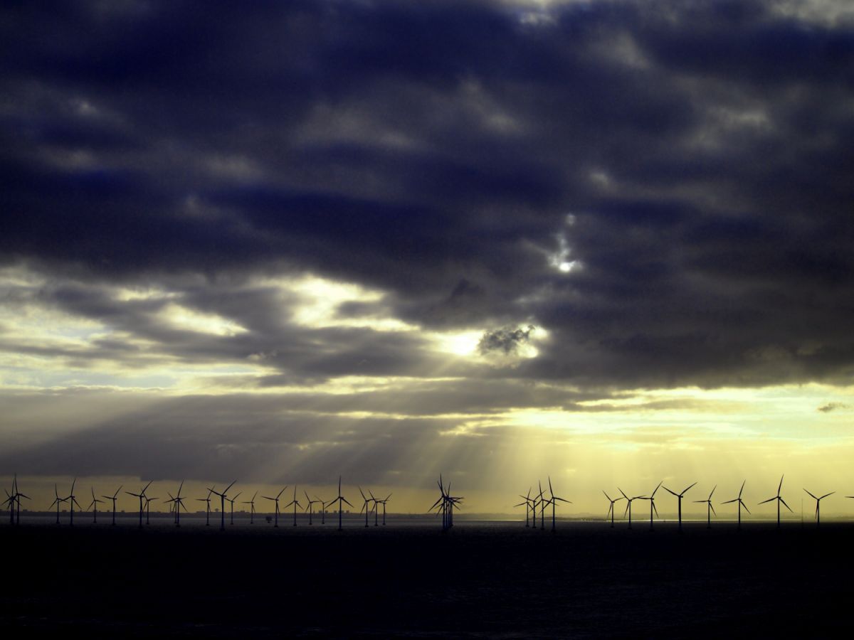 Wind farm 』 | GANREF