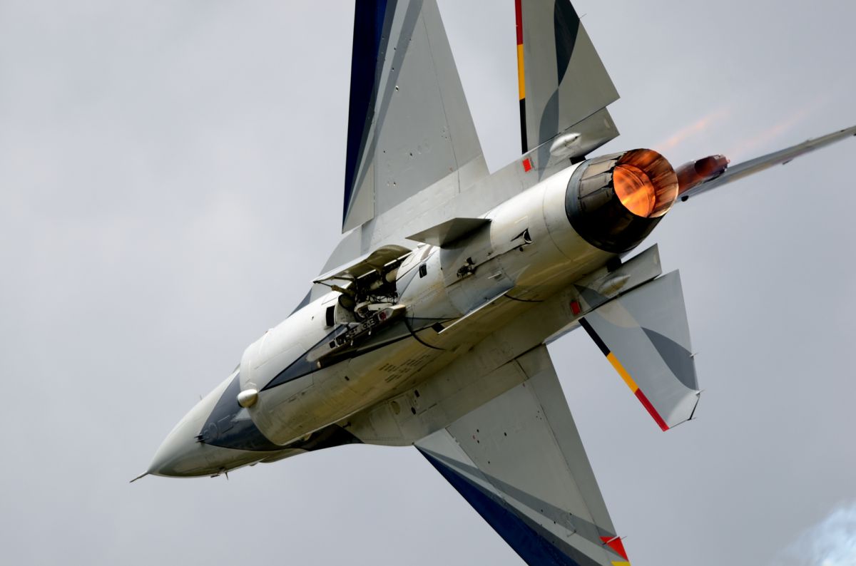 The Belgian Fighter 』 | GANREF