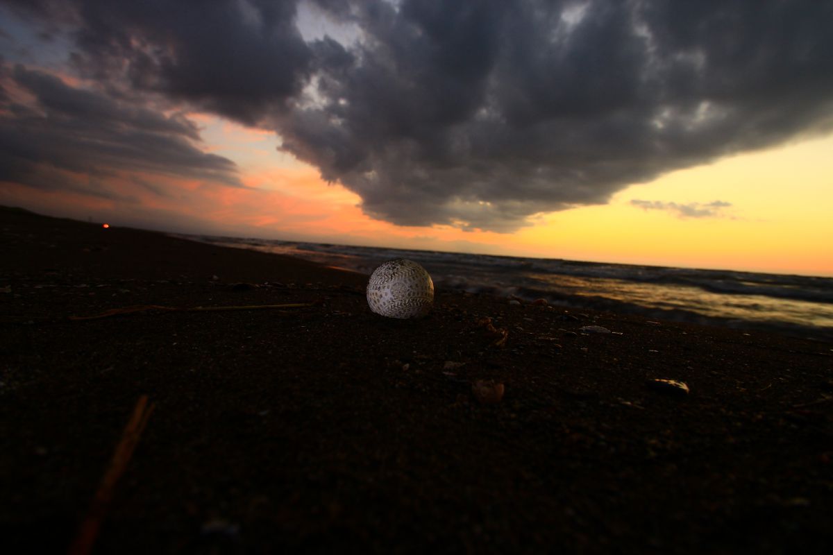 a day of cloudy | GANREF