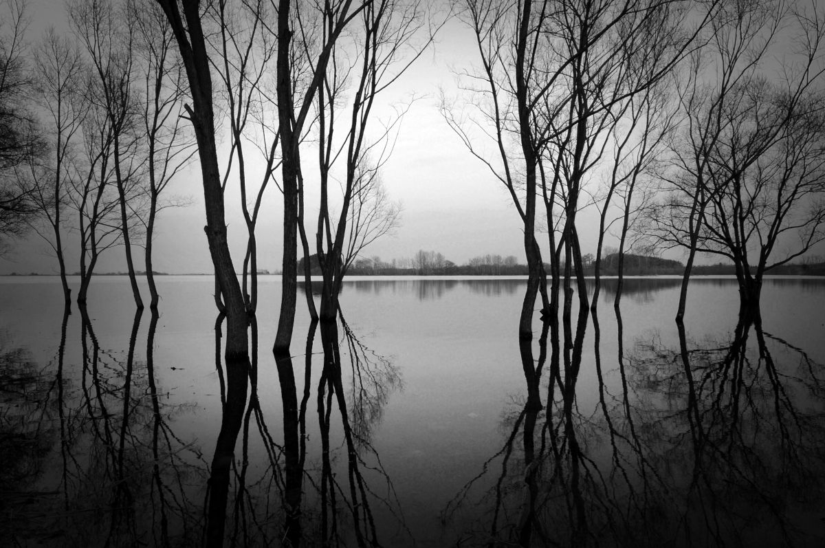 Shadow of water | GANREF