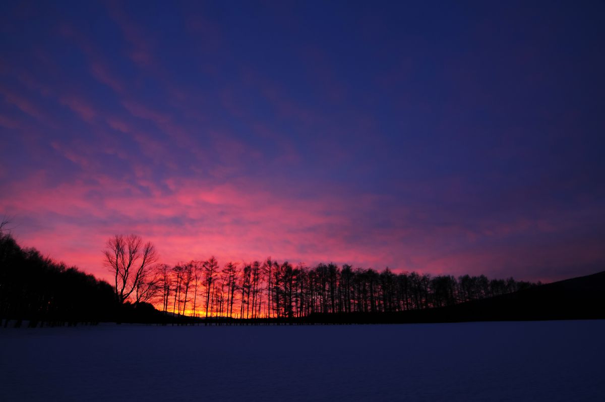 a morning glow | GANREF