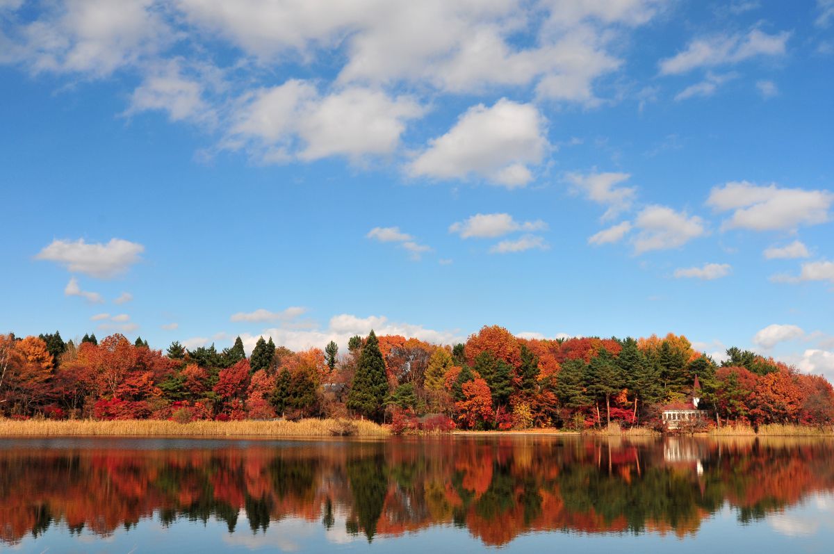 Just in autumn | GANREF