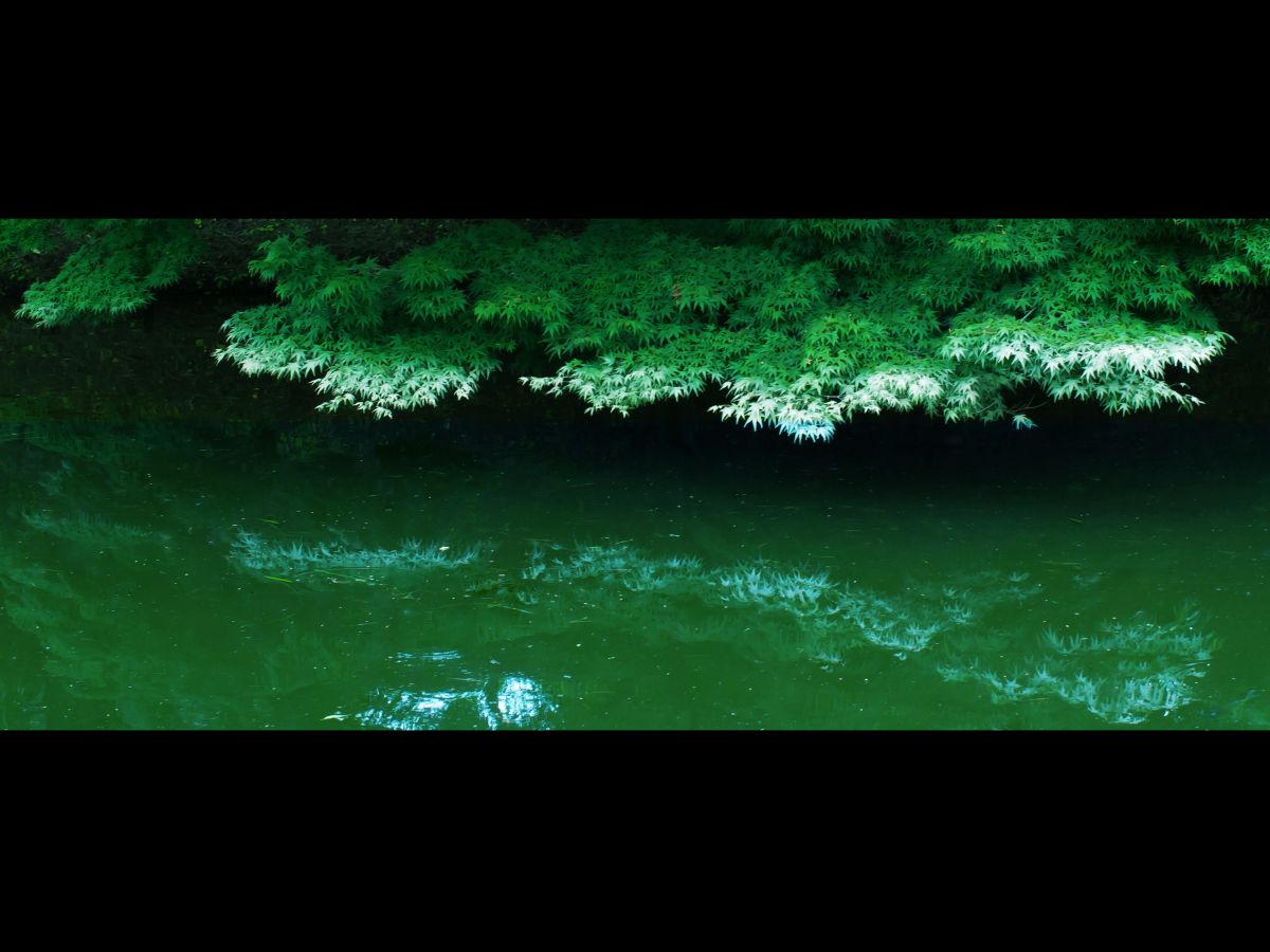 Gradation of summer | GANREF