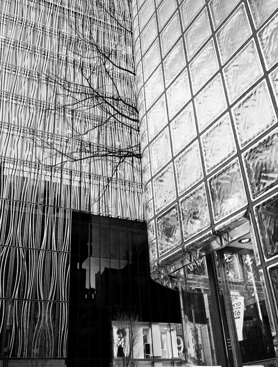 Glass and tree | GANREF