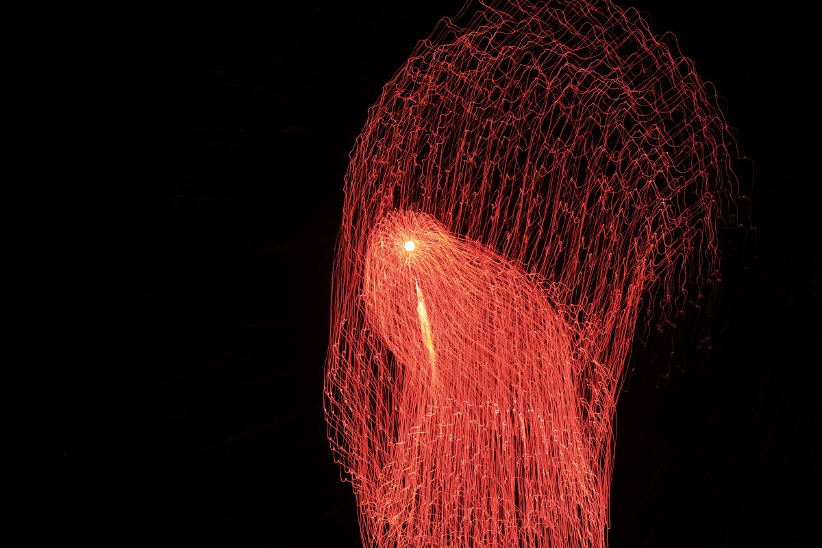 spider in the brain | GANREF