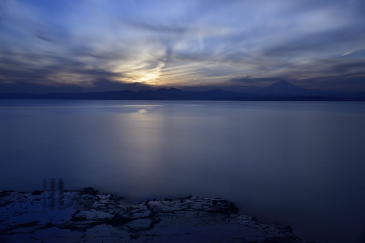 blue illusion | GANREF