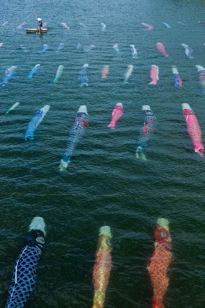 Rising carp | GANREF