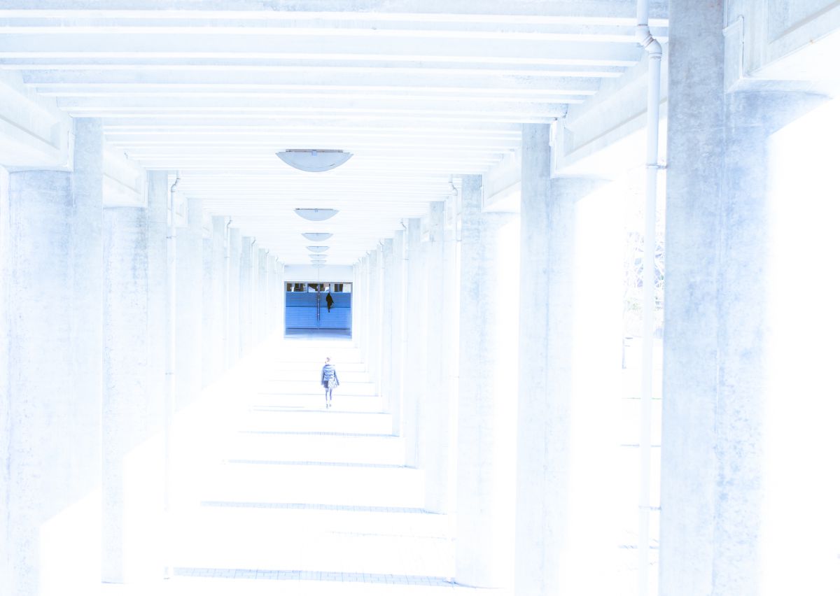 Parallel World | GANREF